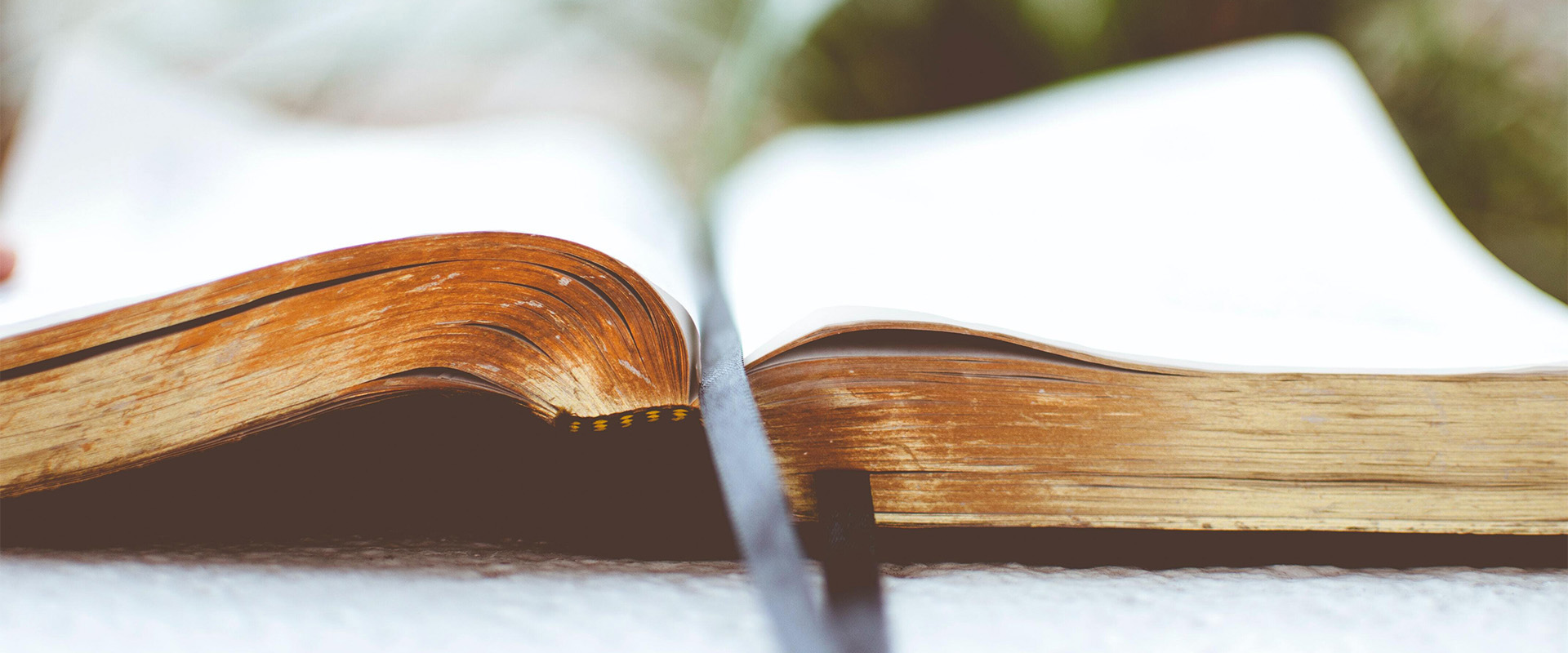 Sunday Discipleship - Christ Church